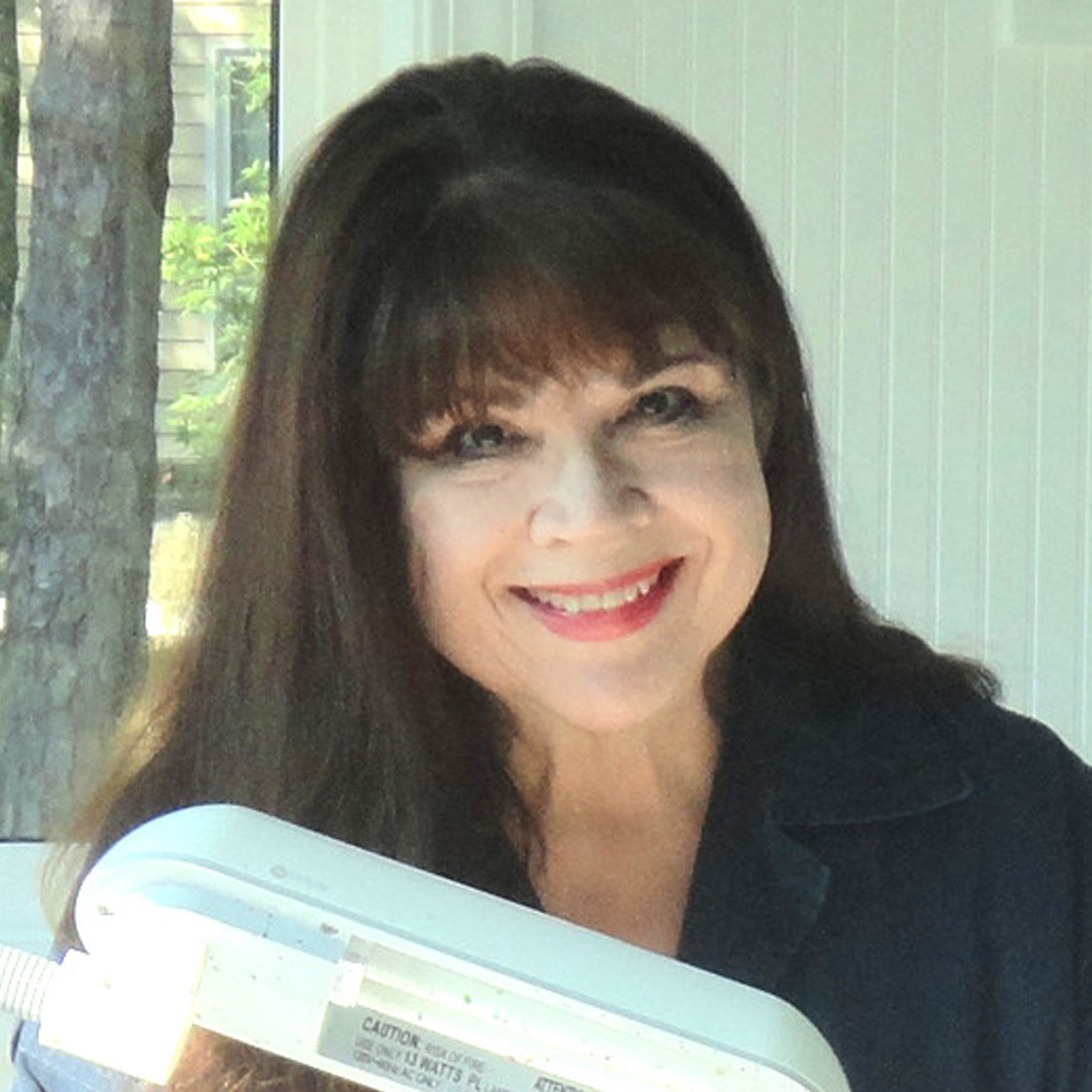 Curriculum – Daufuskie Island Independent School